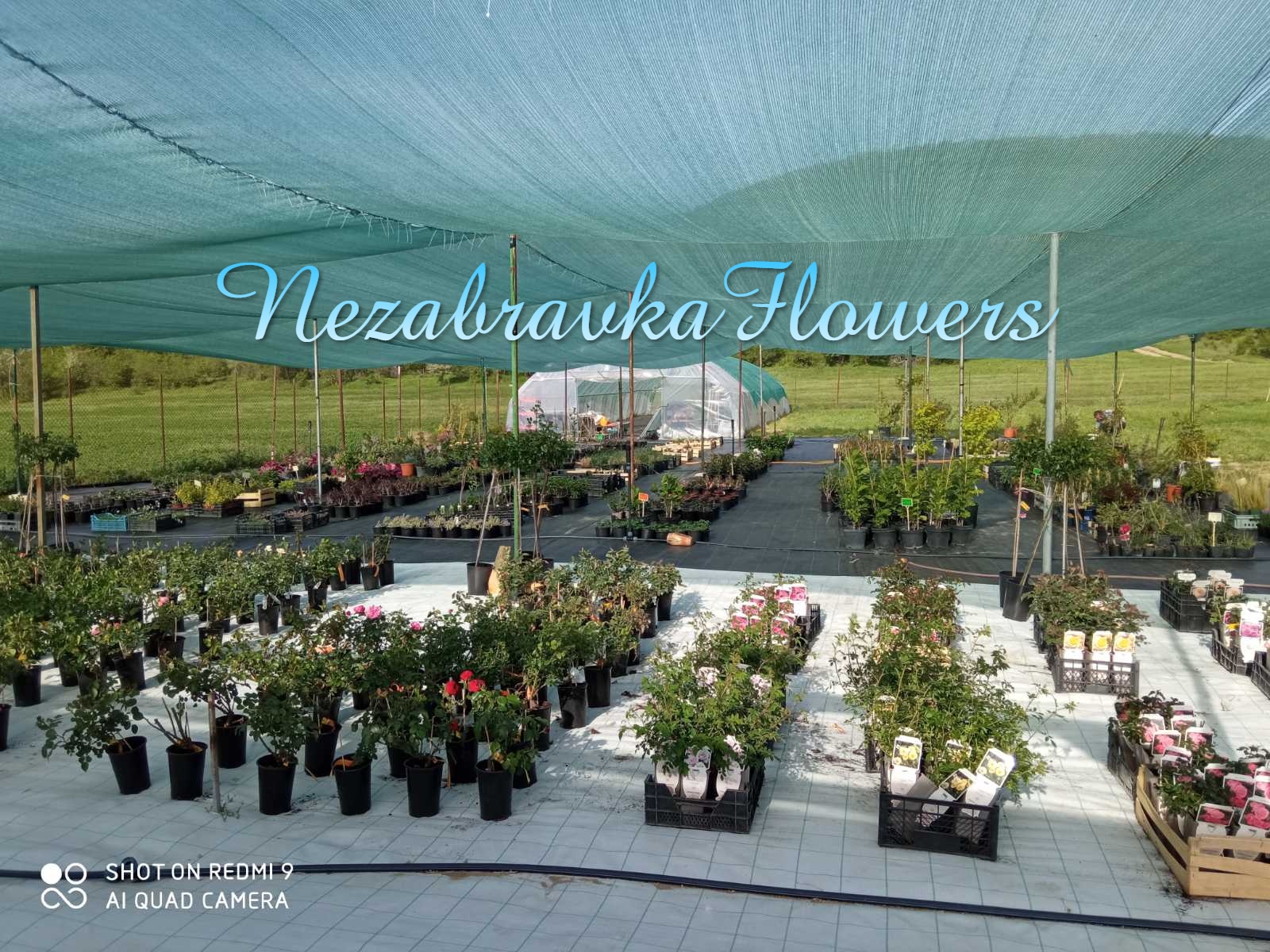 Contact Us - Nezabravka Flowers